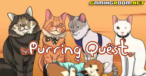 The Purring Quest