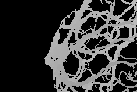 3D skeletonization problem of Skeletonize (2D/3D) - Usage & Issues - Image.sc Forum