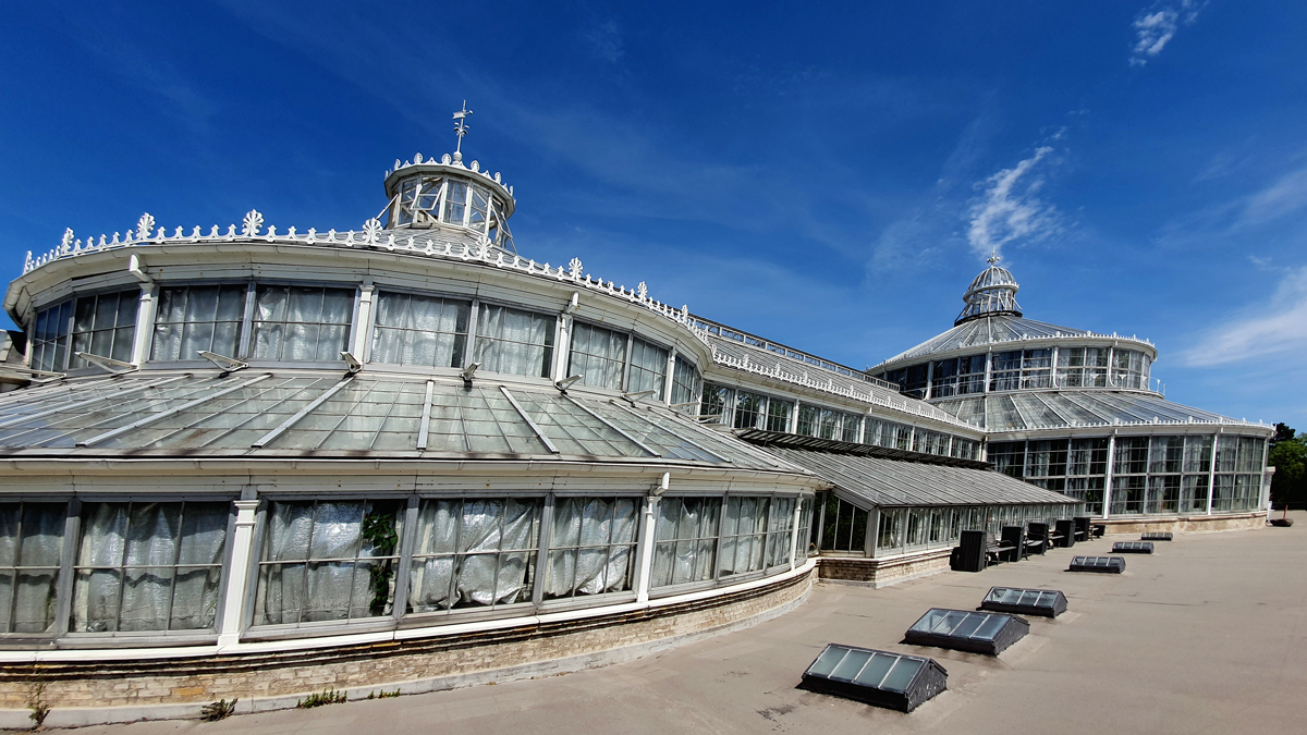 Amorphophallus titanum: antadis — LiveJournal
