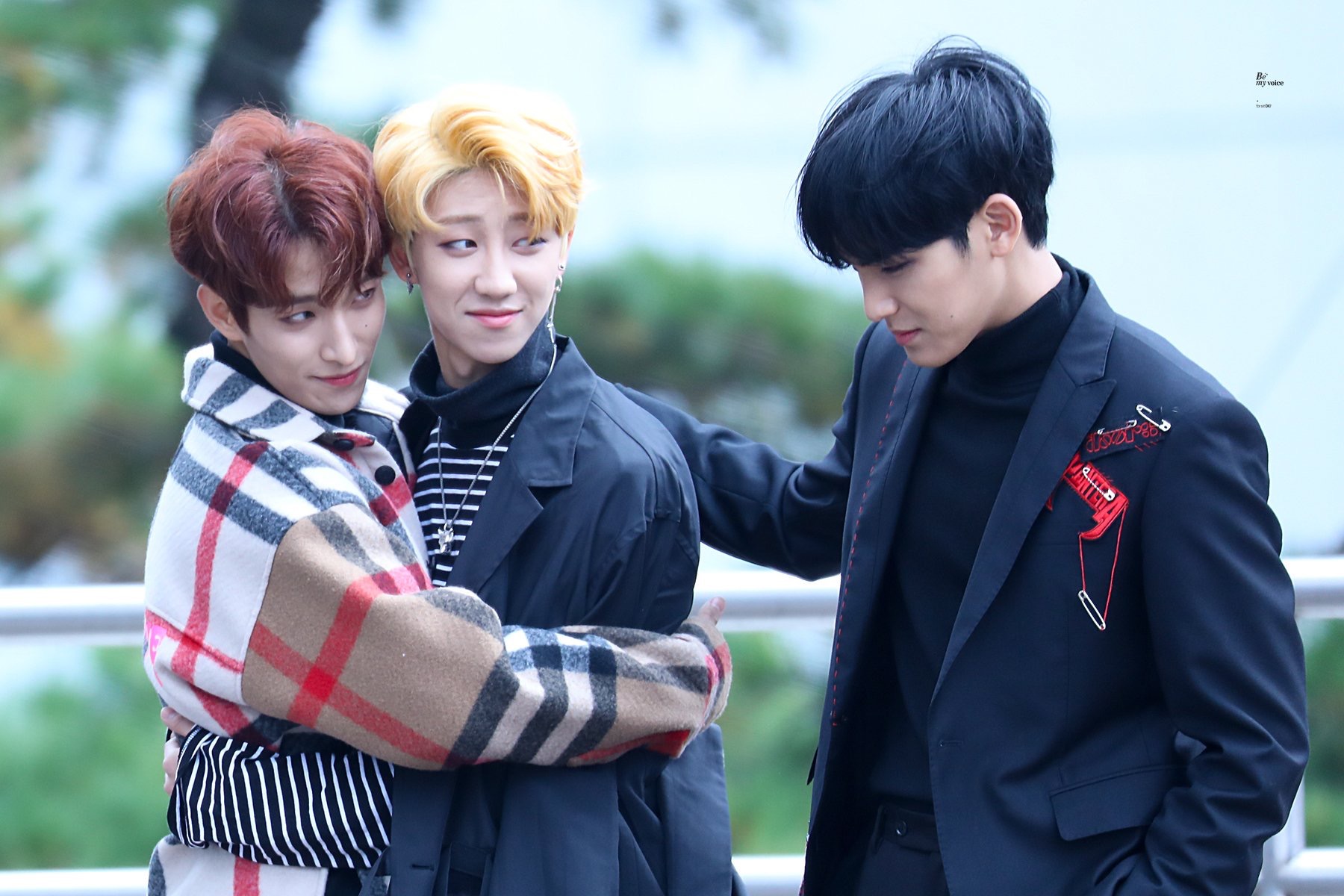 写真 2019-08-12 18 21 36 | Seventeen, Seventeen 97, 97 liners