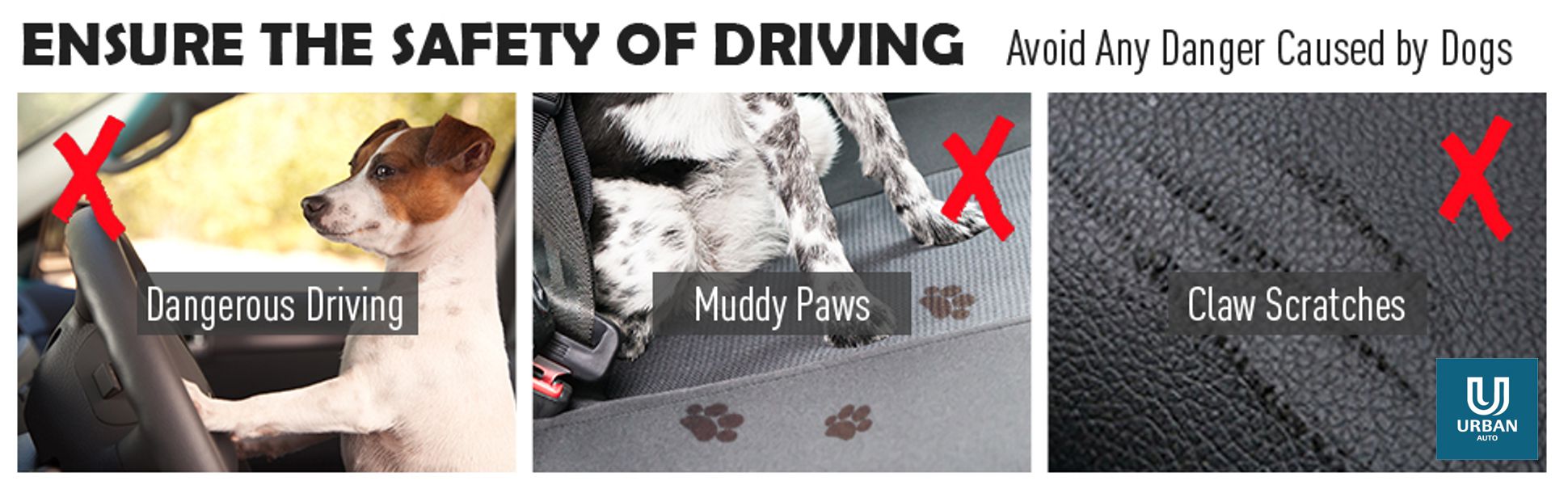 Fits Nissan Note (E11) (05 -11) Dog Guard Wire Mesh Summit | eBay