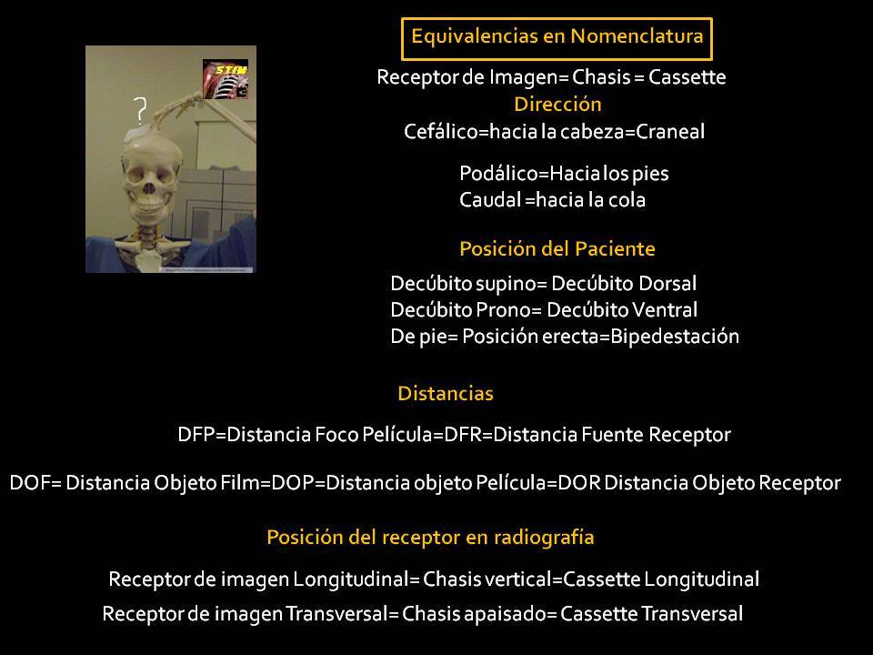 Posiciones Radiográficas de STIM: Rx de Cadera oblícua (Alar)