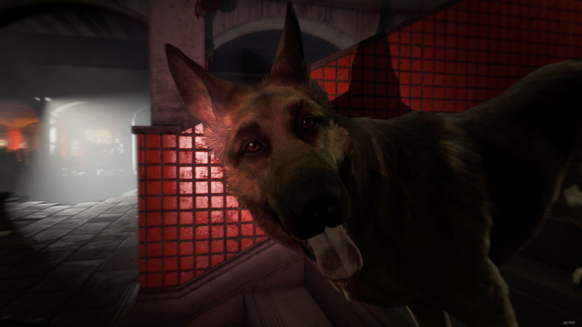 Dogmeat, your friend. : r/fo4