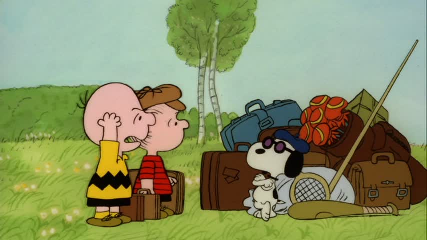 Finally on DVD: "Bon Voyage, Charlie Brown!": wile_e2005 — LiveJournal