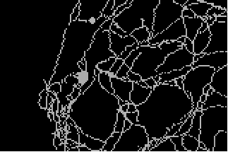 3D skeletonization problem of Skeletonize (2D/3D) - Usage & Issues - Image.sc Forum