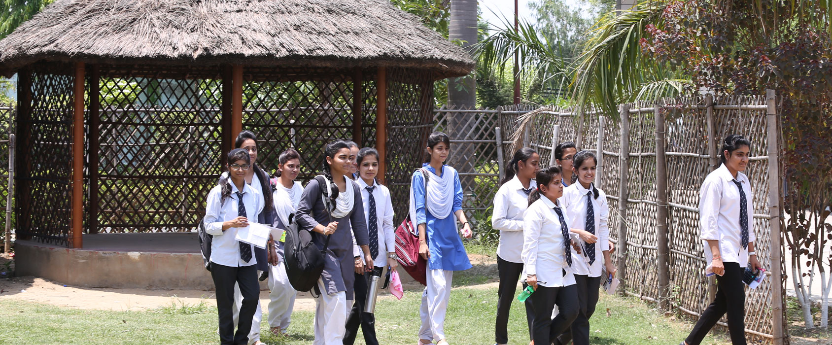 Vivek College Of Health & Medical Sciences Bijnor, Uttar Pradesh ...