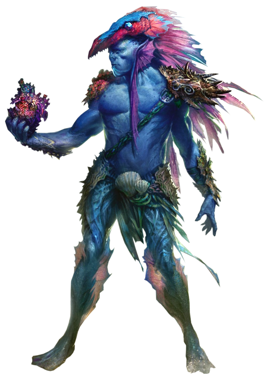 Homebrew Race: Merfolk - The Homebrewery
