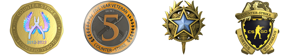 Buy CS2 Prime Premier | 4+ Medals: 2020 Service, 5 Year Veteran ...