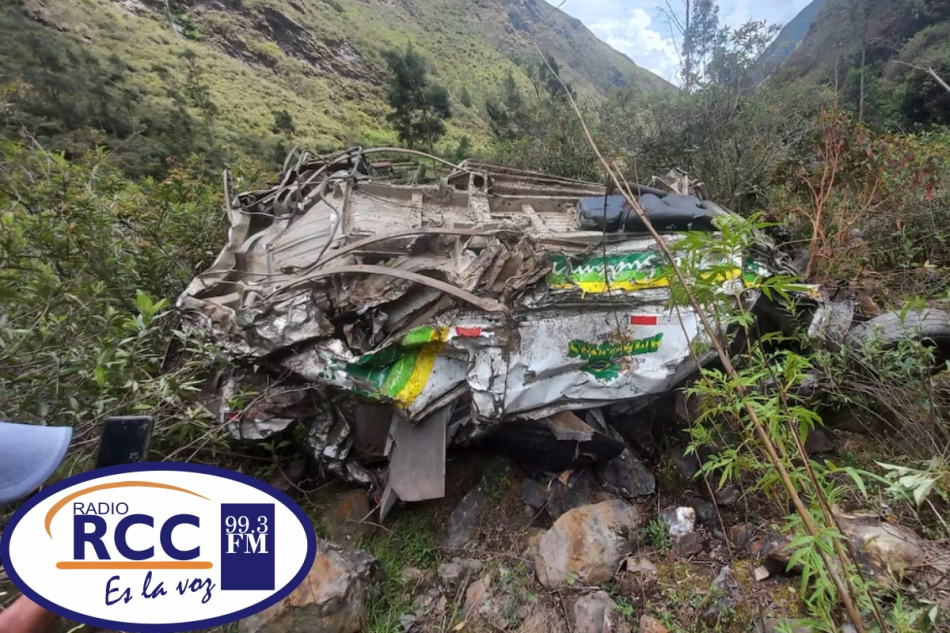 TRAGEDIA EN LA REGIÓN PUNO: MINIVAN CAE A UN BARRANCO DEJANDO DIEZ ...