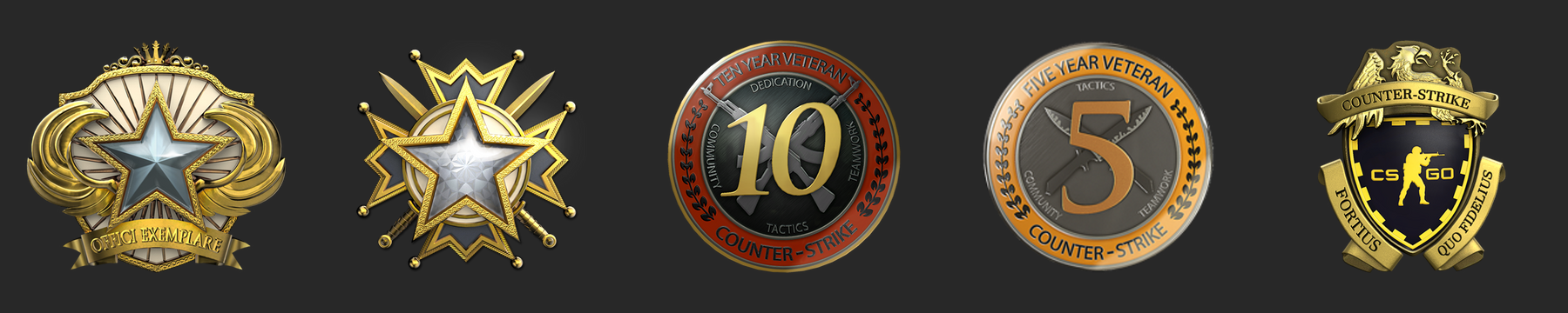 Buy 5 MEDALS丨2018 | 2019 | 10 Year Veteran | 5 Year Veteran | Loyalty ...