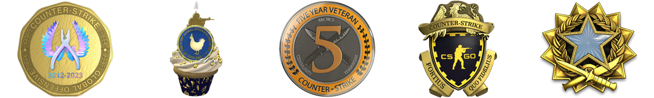 Buy CS2 Prime Premier | 5+ Medals: 2017 Service, Global Offensive, 10 ...