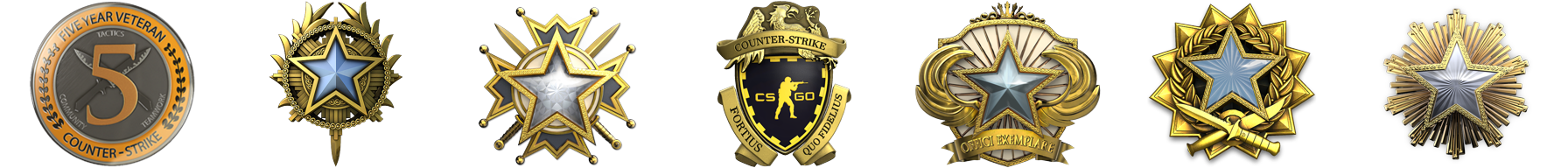 Buy CS2 Prime Premier | 7+ Medals: 2020 Service, 2019 Service, 2017 ...