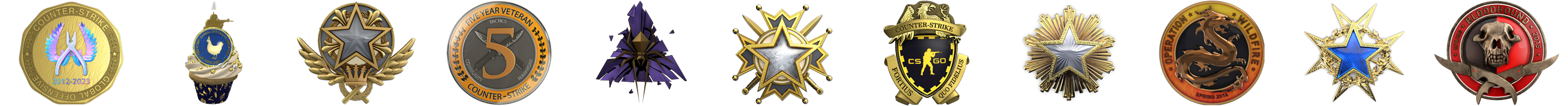 Buy CS2 Prime Premier | 11+ Medals: Operation Shattered Web, Wildfire ...