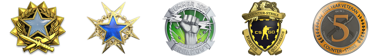 Buy CS2 Prime 1176h • 5+ MEDALS • Silver Breakout, 2017 Service, 2015 ...