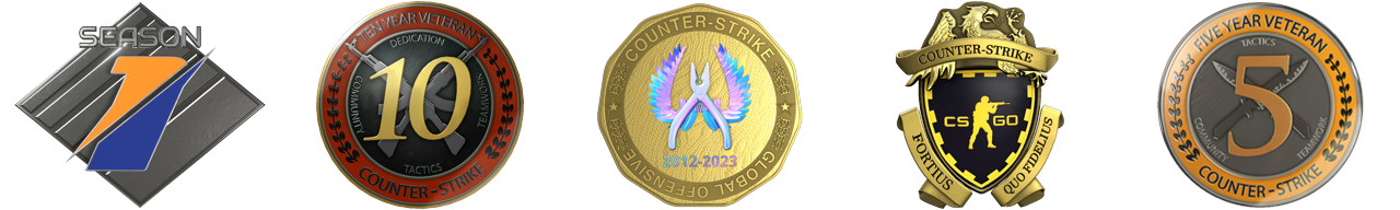 Buy CS2 Prime Premier | 5+ Medals: Premier Season One, 10 Year Veteran ...