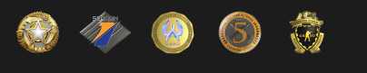 Buy 5 MEDALS丨2025 | PREMIER | LOYALITY | Global Offensive Badge | 5 ...