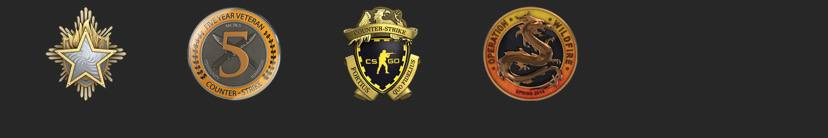 Buy 5 MEDALS丨OPERATION WILDFIRE | 2023 | LOYALITY | 5 years of service ...