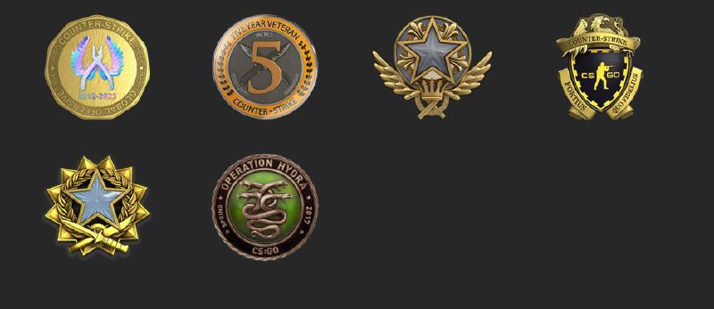 Buy 6 MEDALS丨2017 | 2021 | HYDRA | LOYALITY | Global Offensive Badge ...