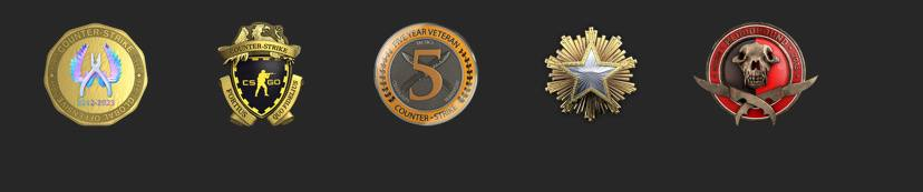 Buy 5 MEDALS丨2016 | BLOODHOUND | LOYALITY | Global Offensive Badge | 5 ...