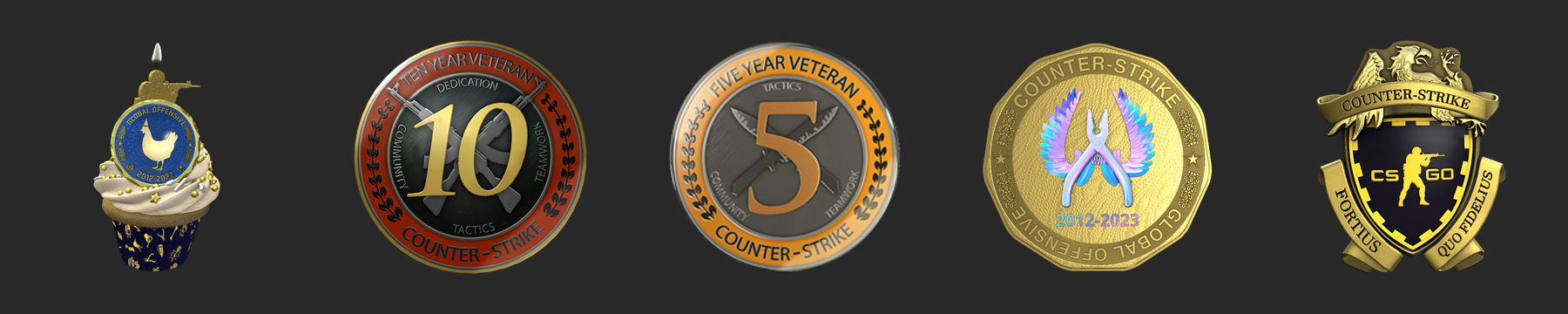 Buy 5 MEDALS丨10 Year Birthday | 10 Year Veteran | 5 Year Veteran ...