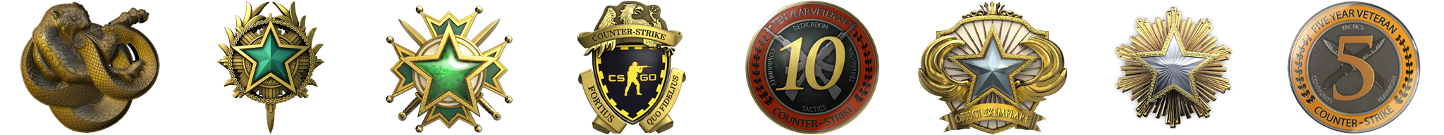 Buy CS2 Prime Premier | 8+ Medals: Broken Fang, 2020 Service, 2019 ...