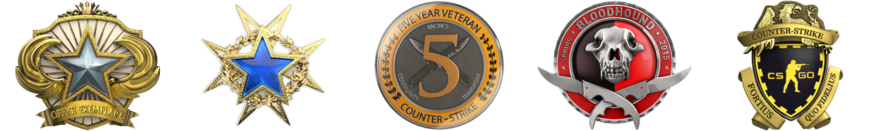 Buy CS2 Prime Premier | 5+ Medals: Silver Bloodhound, 2018 Service ...