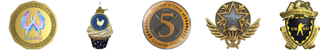 Buy CS2 Prime 633h • 5+ MEDALS • 2021 Service, Global Offensive, 10 ...