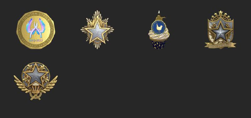 Buy 5 MEDALS丨2021 | 2022 | 2023 | 10 YEAR BIRTHDAY | Global Offensive ...