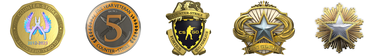 Buy CS2 Prime Premier | 5+ Medals: 2018 Service, 2016 Service, 5 Year ...