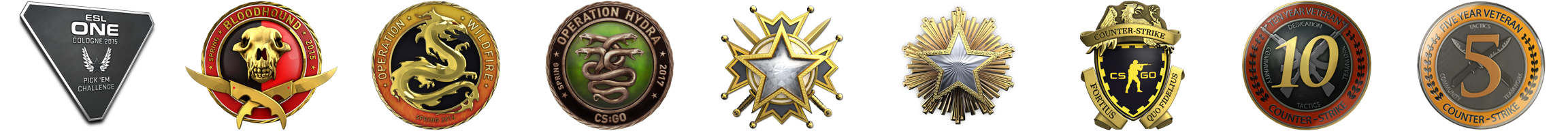Buy CS2 Prime Premier | 9+ Medals: Silver Cologne 2015, Gold Bloodhound ...