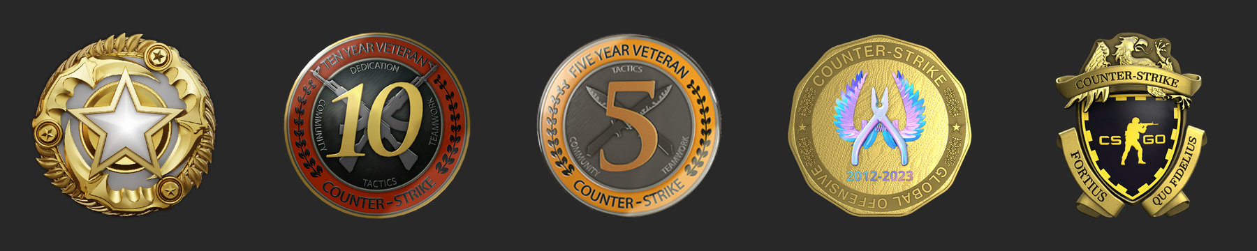 Buy 5 MEDALS丨2025 | 10 Year Veteran | 5 Year Veteran | Global Offensive ...