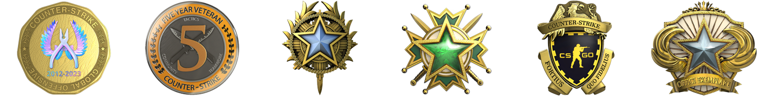 Buy CS2 Prime Premier | 6+ Medals: 2020 Service, 2019 Service, Global ...