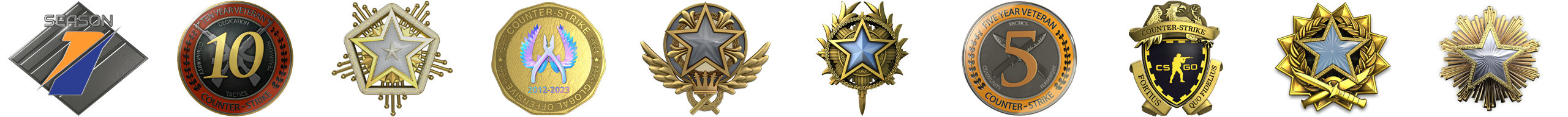 Buy CS2 Prime Premier | 10+ Medals: 2024 Service, 2021 Service, 2020 ...