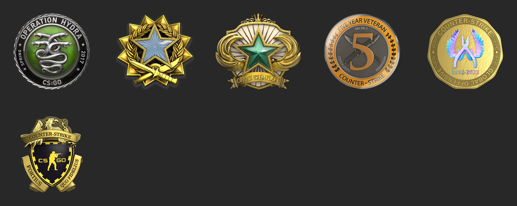Buy 6 MEDALS丨Silver Hydra | 2017 | 2018 | 5 Year Veteran | Global ...